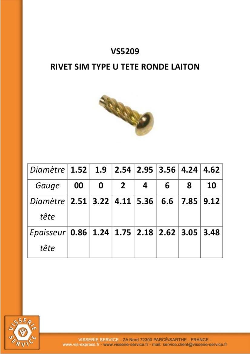 Rivet SIM ou fausse vis à frapper Type U Tête ronde TR Acier laitonne 1 ...