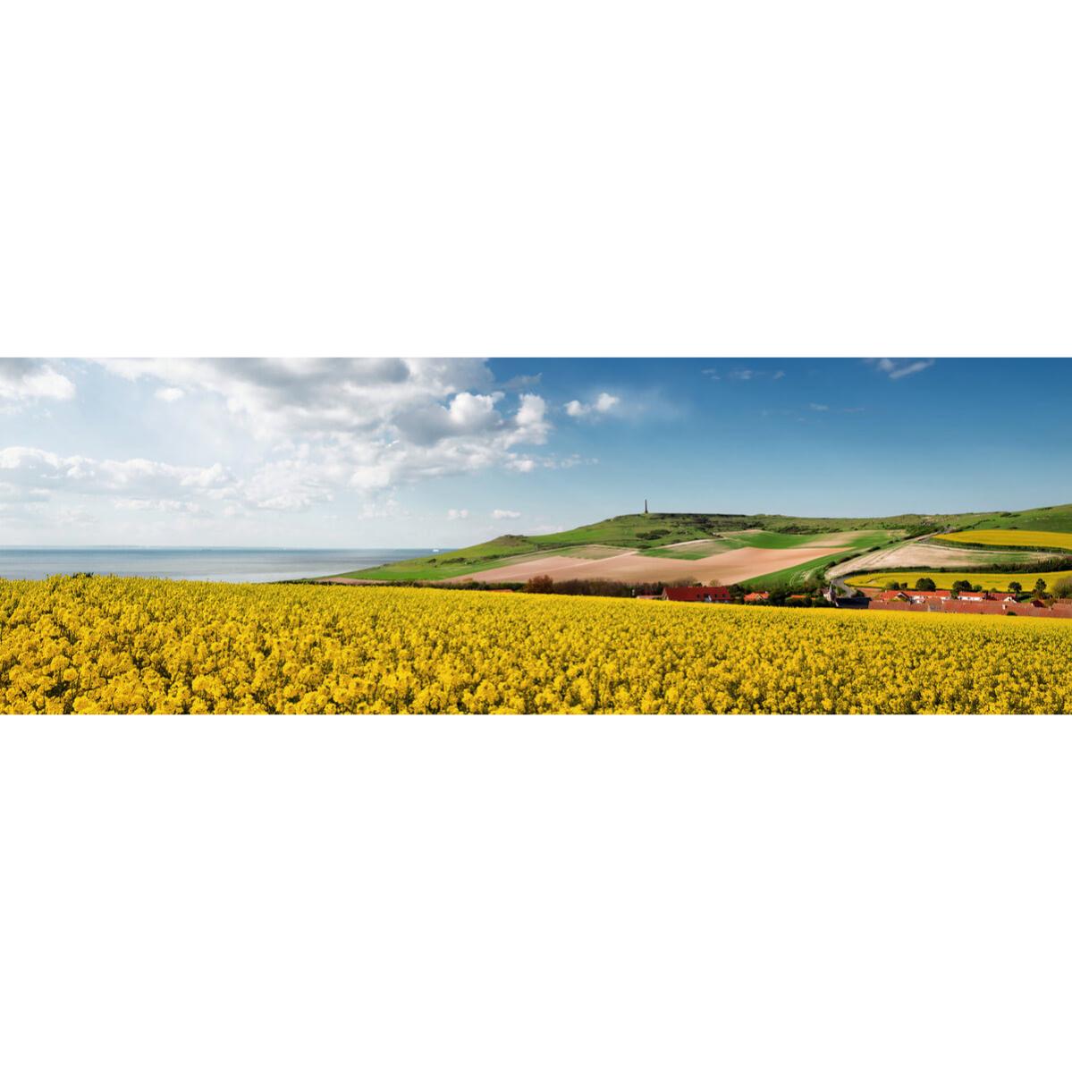 Tableau sur toile champs de colza de Calais 30x97 cm | Leroy Merlin