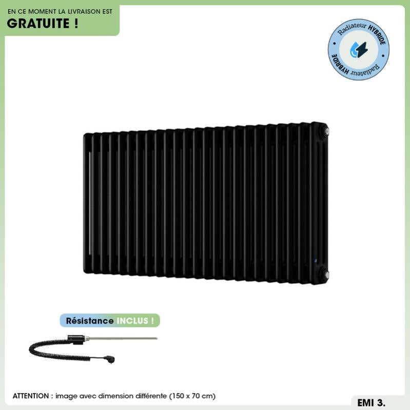 Radiateur Électrique Mixte avec Résistance INCLUS | EMI 3 - Noir Mat ...