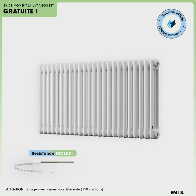 Radiateur Électrique Mixte avec Résistance INCLUS | EMI 3 - Blanc Mat ...