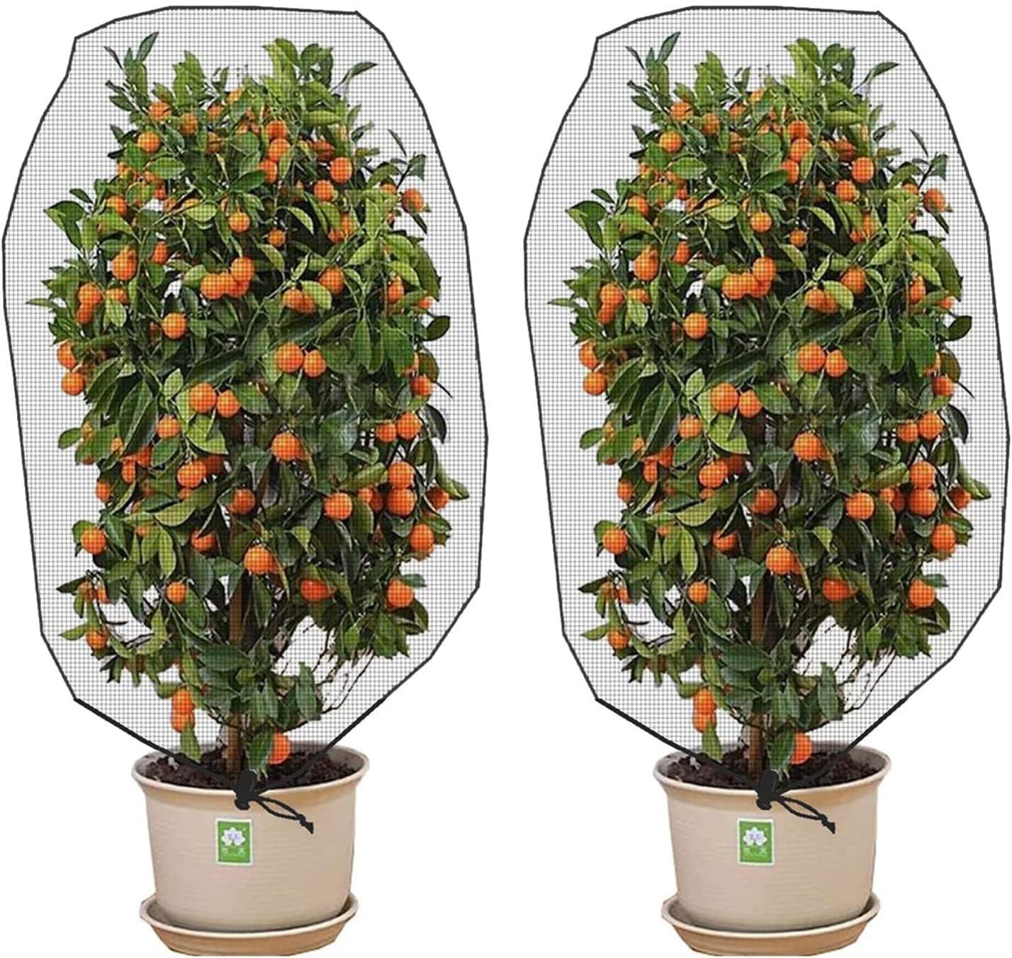 Maille de filet en nylon de barrière d'oiseau d'insecte de 59,1 x 39,4 ...