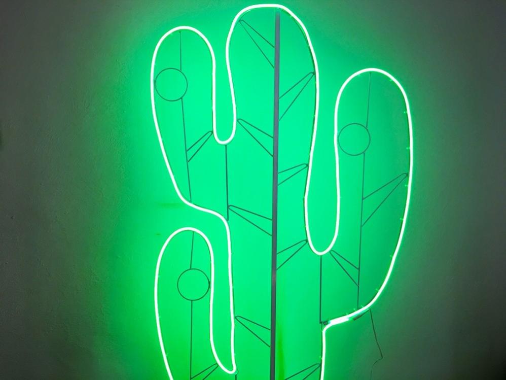 Motif lumineux extérieur Cactus H 120cm, Néon Flex Led vert | Leroy Merlin