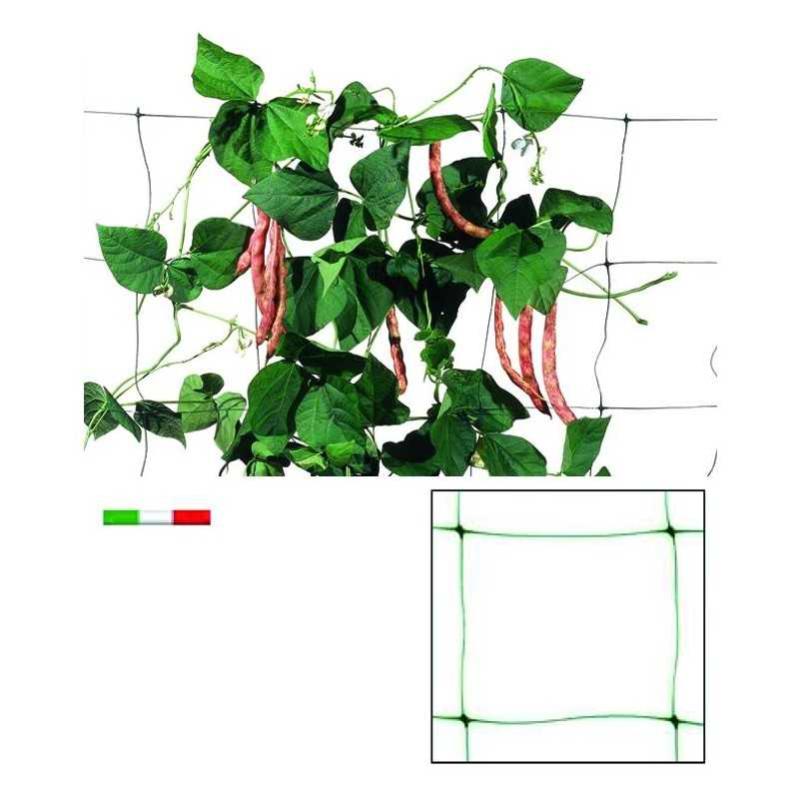 Rete Plastica per Rampicanti | Leroy Merlin