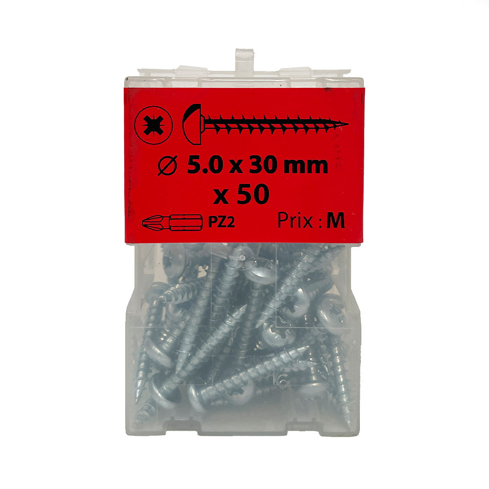 Boite 50 vis agglo 5 x 30mm tête ronde Pozidriv zingué - Viswood | Leroy Merlin