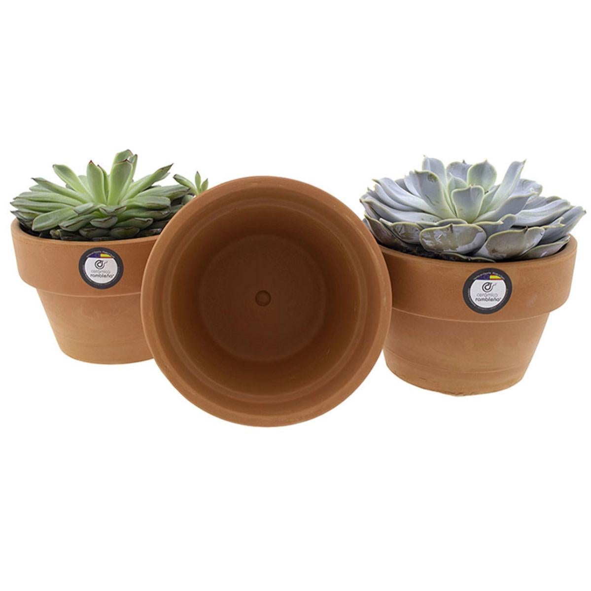 CERÁMIQUE RAMBLEÑA | Pot de fleur xxl | pot de fleur interieur | Pot de ...