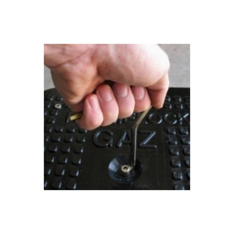 Tasto Hermelock copertina - KE2 | Leroy Merlin