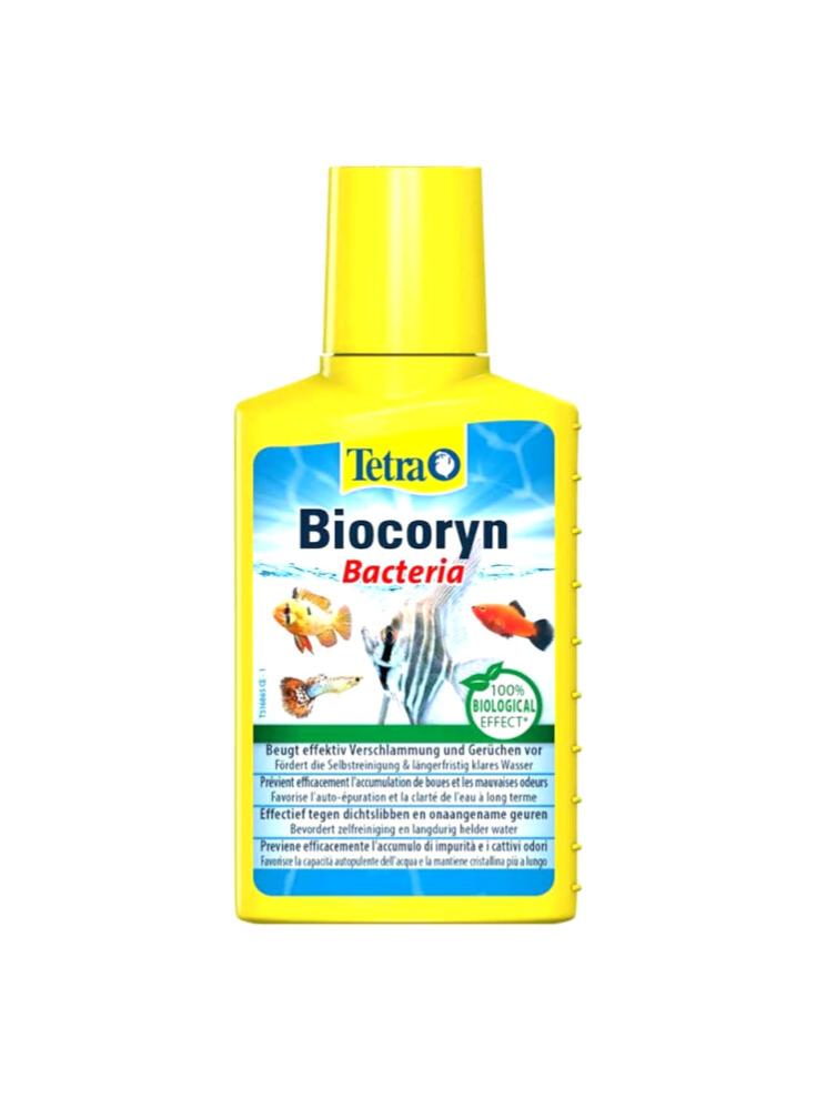 Tetra Biocoryn Bacteria 100ml | Leroy Merlin
