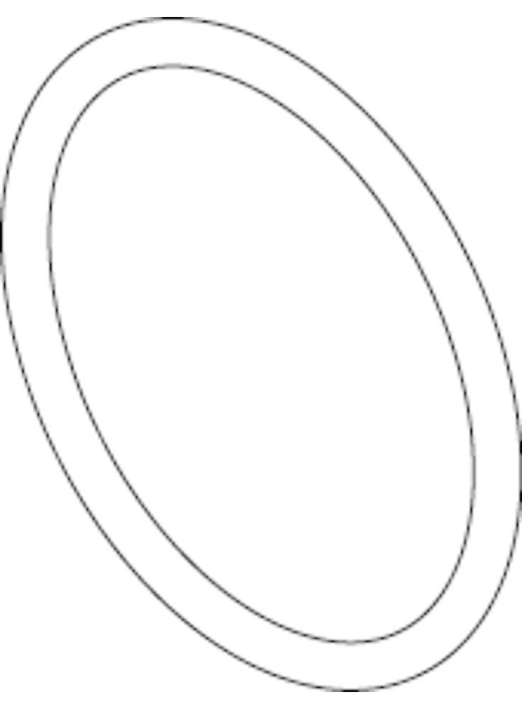 Sicce Ricambio Multi 2500 - 4000 O-Ring ( 2pezzi) | Leroy Merlin