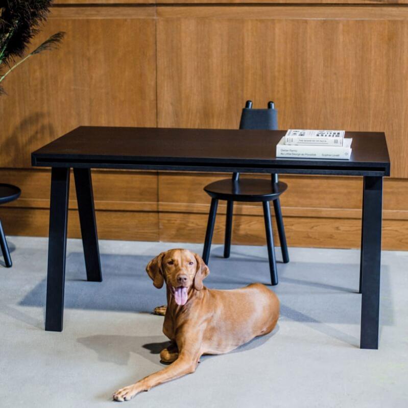 DESK 4.9 - bureau 140 x 70 cm frêne teinté noir - Emko - (frêne ...