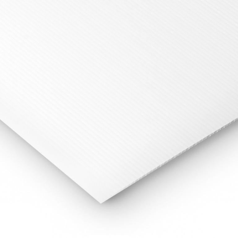 Polipropilene alveolare-polionda, colore Traslucido, 150 x 50 cm ...