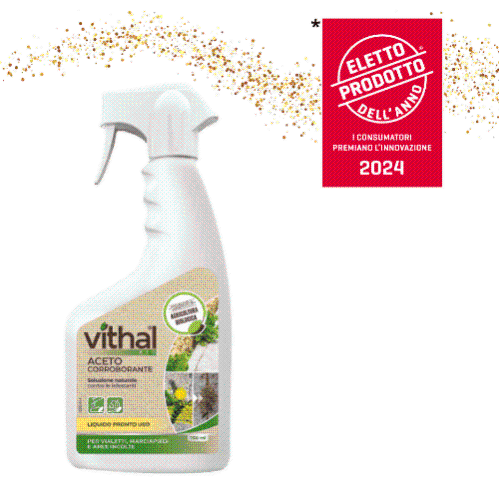 Diserbante Aceto RTU Vithal Bio | Leroy Merlin