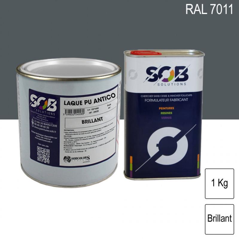 Peinture professionnelle PU ANTICO bi-composant RAL 7011 Gris fer 1Kg ...