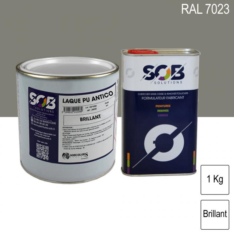 Peinture professionnelle PU ANTICO bi-composant RAL 7023 Gris béton 1Kg ...