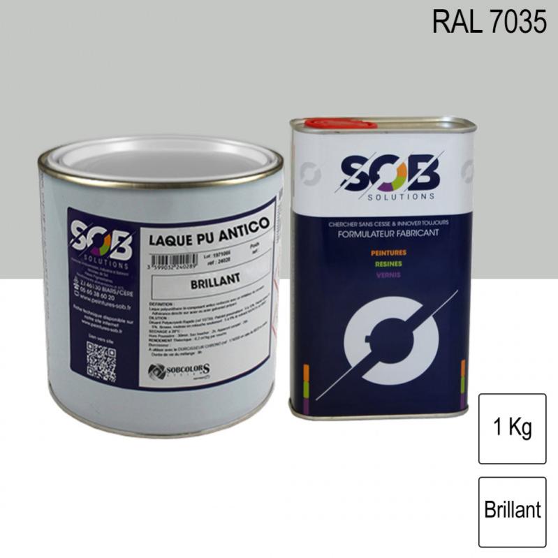 Peinture professionnelle PU ANTICO bi-composant RAL 7035 Gris clair 1Kg ...