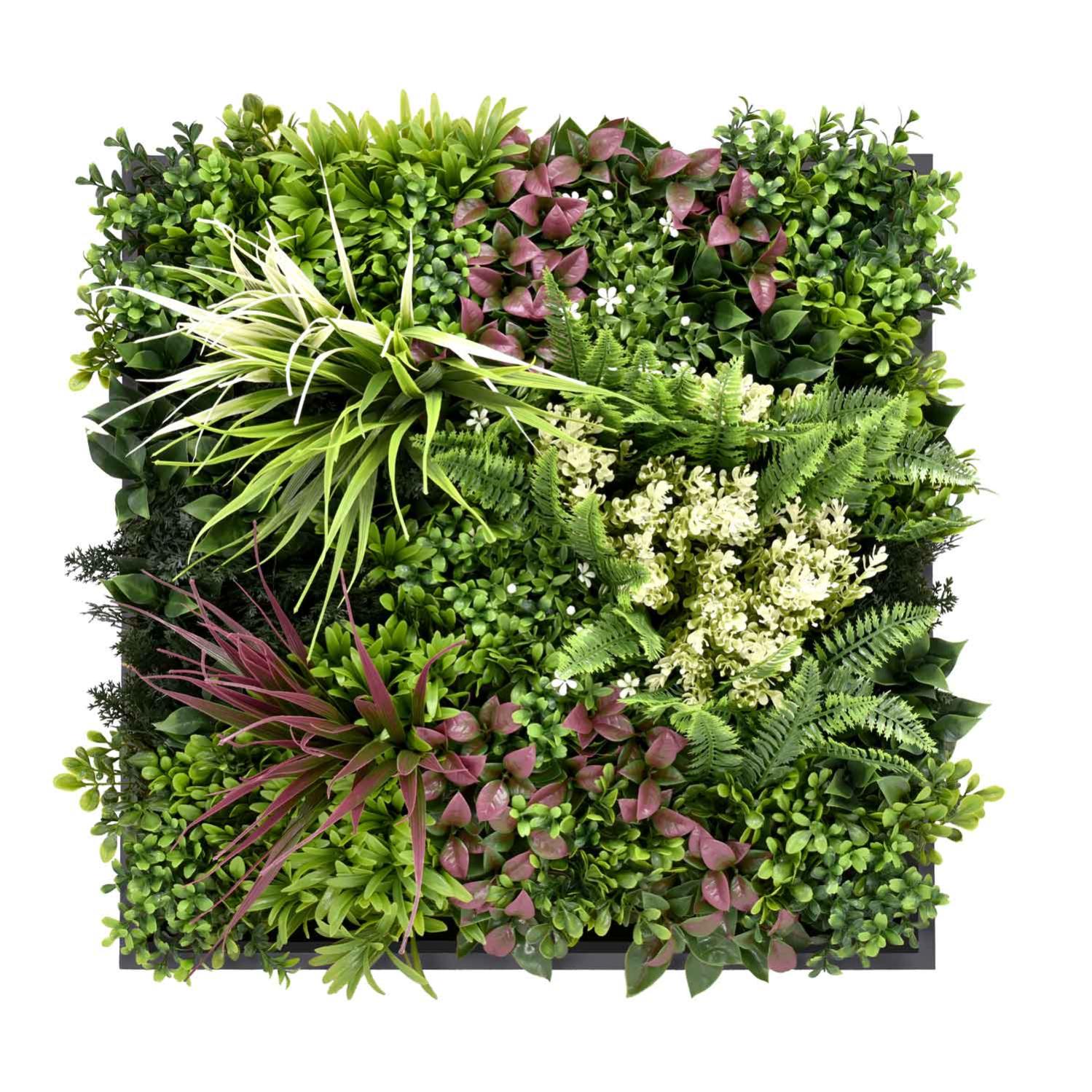 Liana - Tableau végétal avec cadre noir en PVC, 50x50 cm | Leroy Merlin