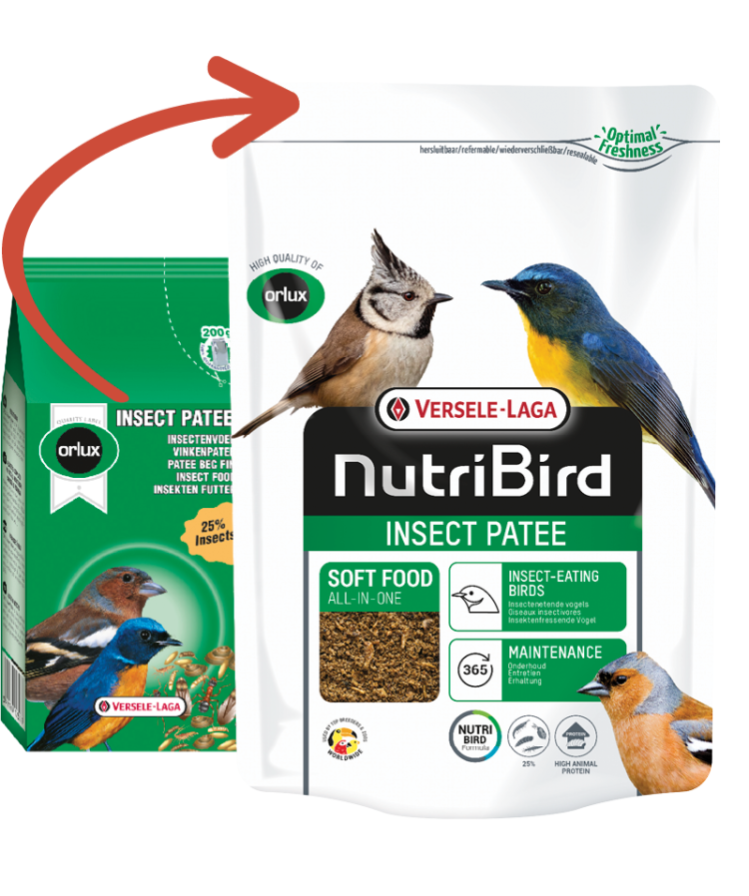 NutriBird Insect Patee 0,3 kg | Leroy Merlin