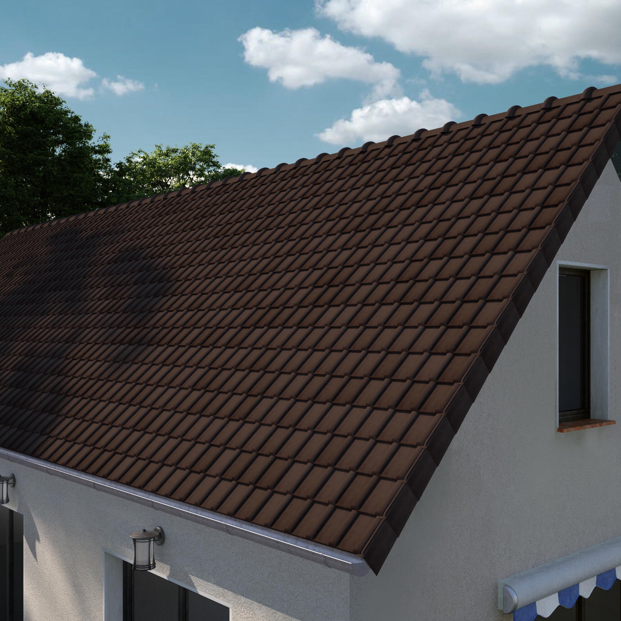 Tuile TERREAL brun 1cfpv | Leroy Merlin