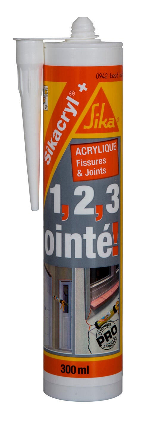 Mastic SIKA Sikacryl+ 300 ml gris | Leroy Merlin
