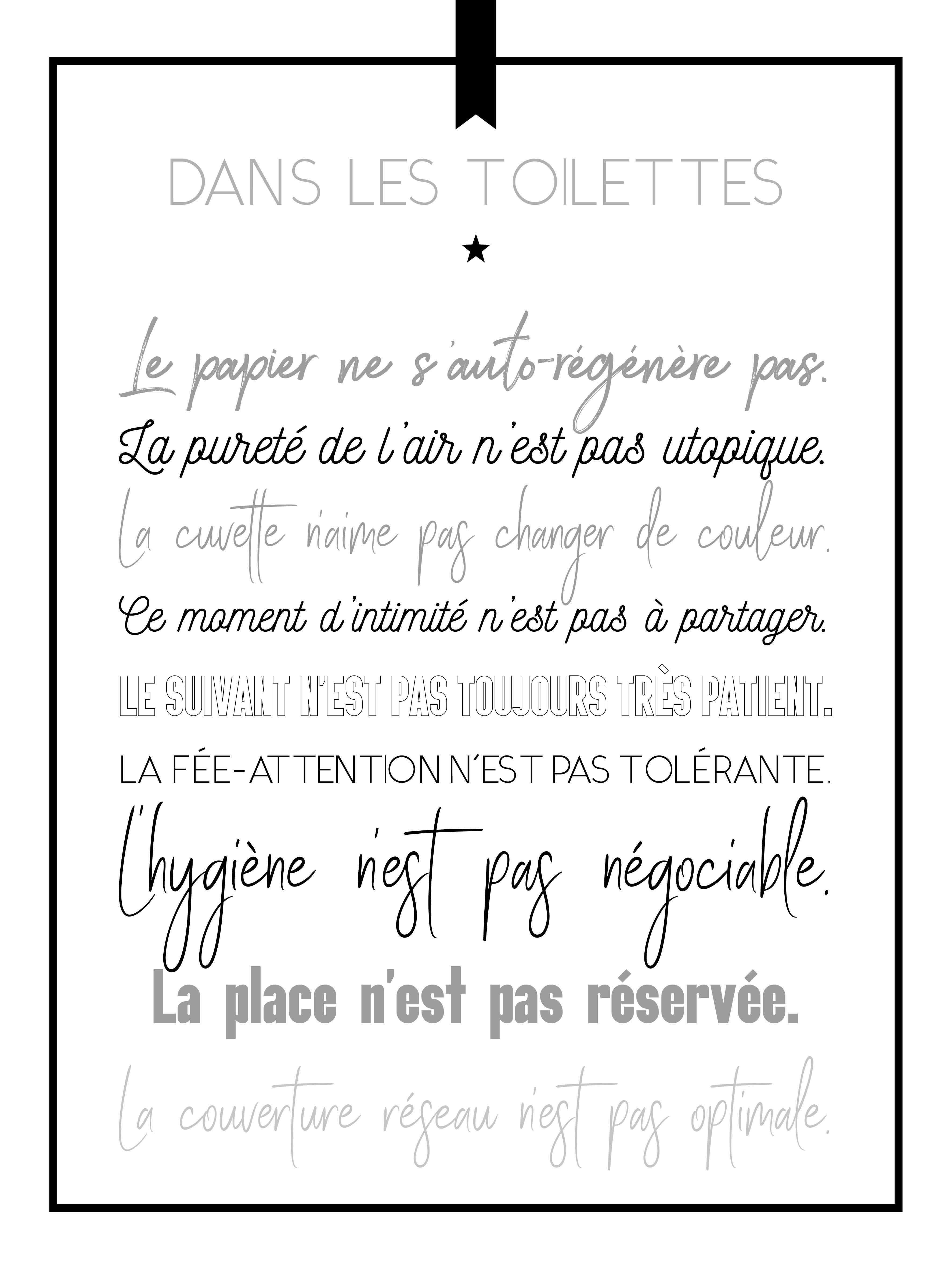 Affiche Règles dans les toilettes, blanc et noir l.50 x H.70 cm | Leroy ...
