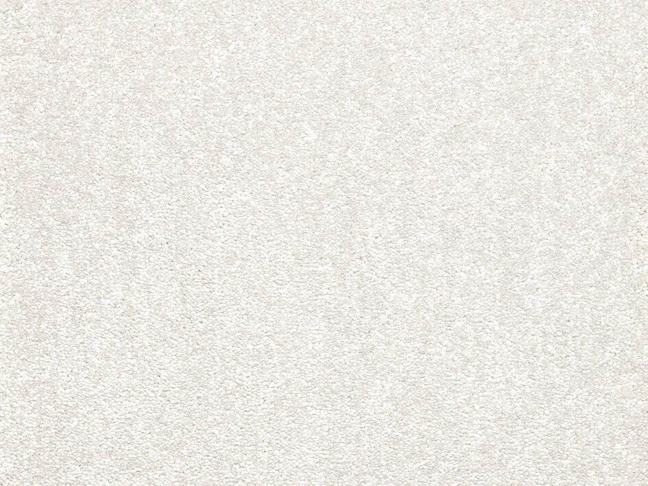 Moquette velours épais uni beige, Timeless, 4 m | Leroy Merlin