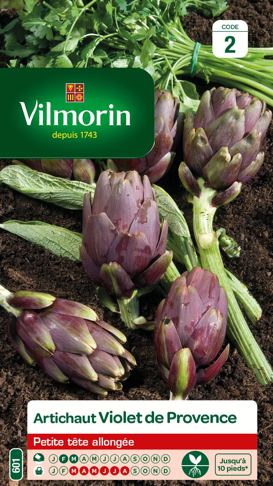 Graine potagère artichaut violet de provence VILMORIN 2 g | Leroy Merlin