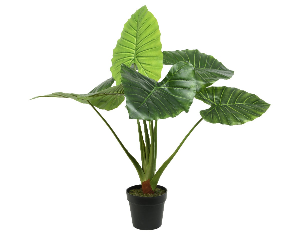 Taro plastique en pot dia91x90cm vert | Leroy Merlin