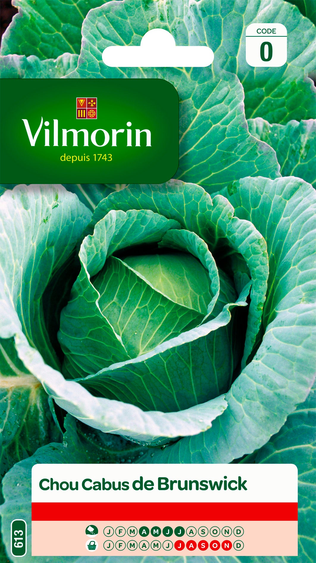 Chou cabus cabus de brunswick VILMORIN 2 g | Leroy Merlin