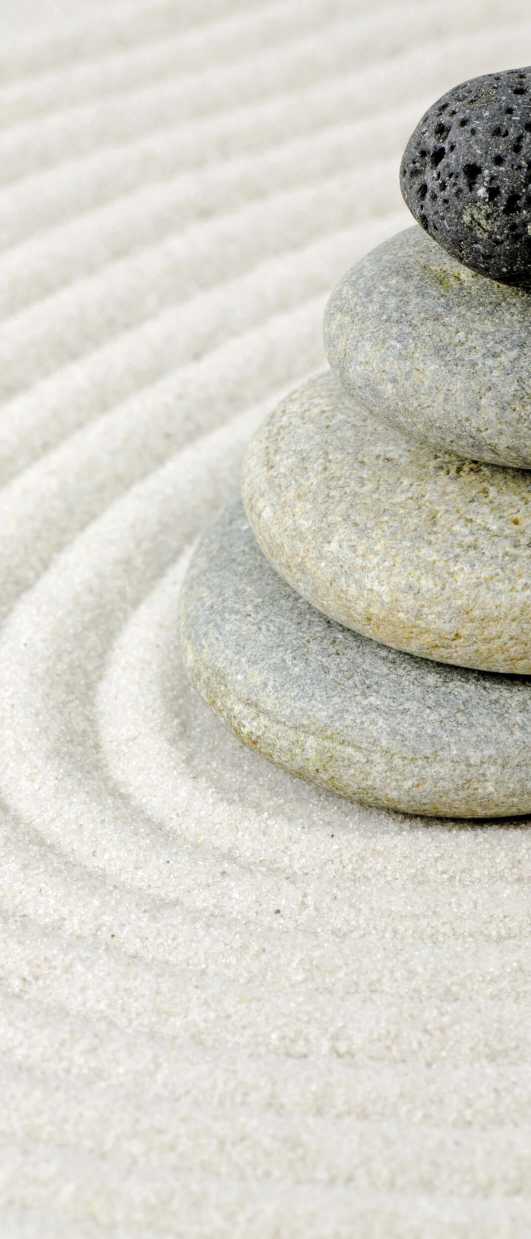 Panneau mural H.210 x l.90 cm zen & sable, perlé mat, Décomotion ...