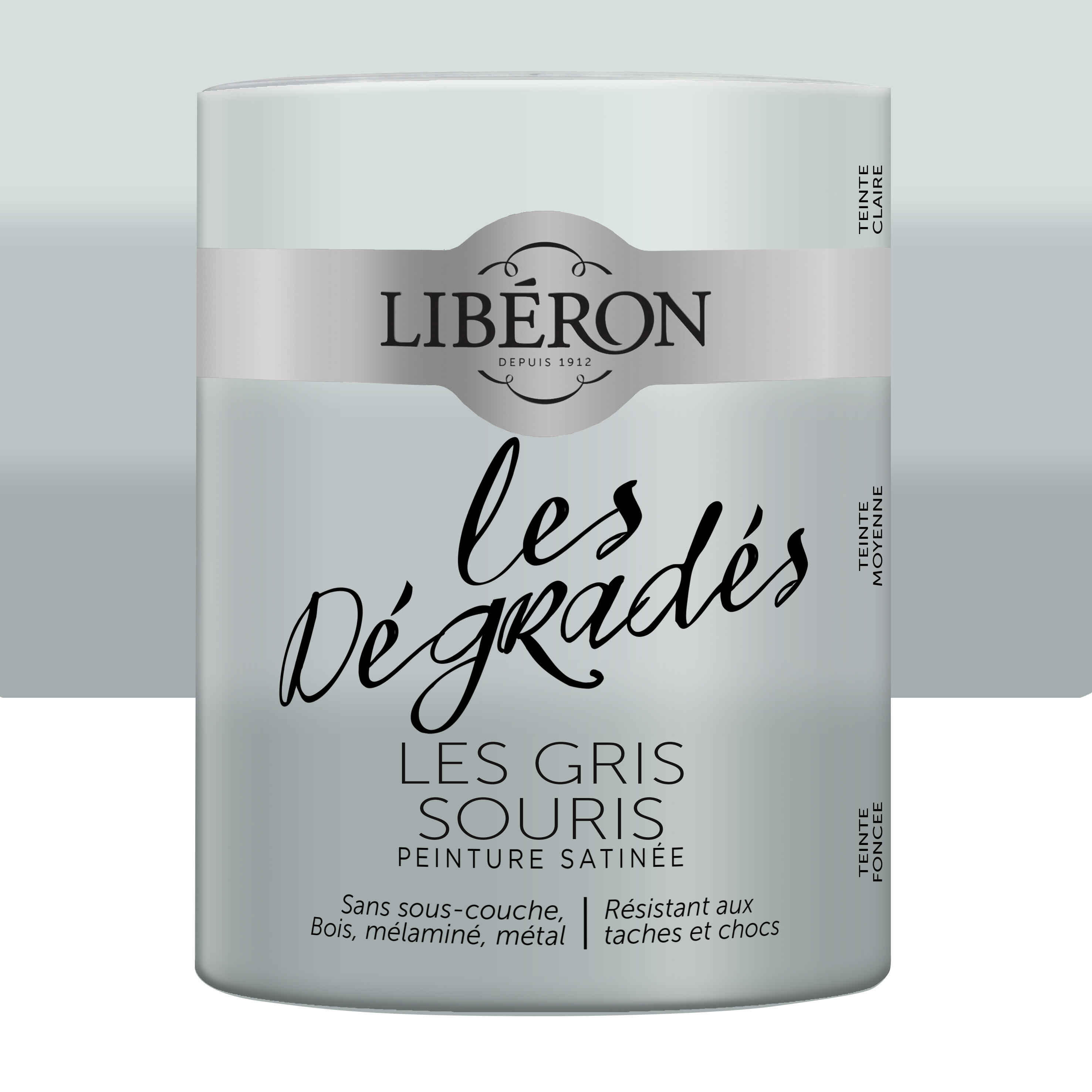 Peinture meuble et objet Les dégradés LIBÉRON les bleus orage satiné 0 ...