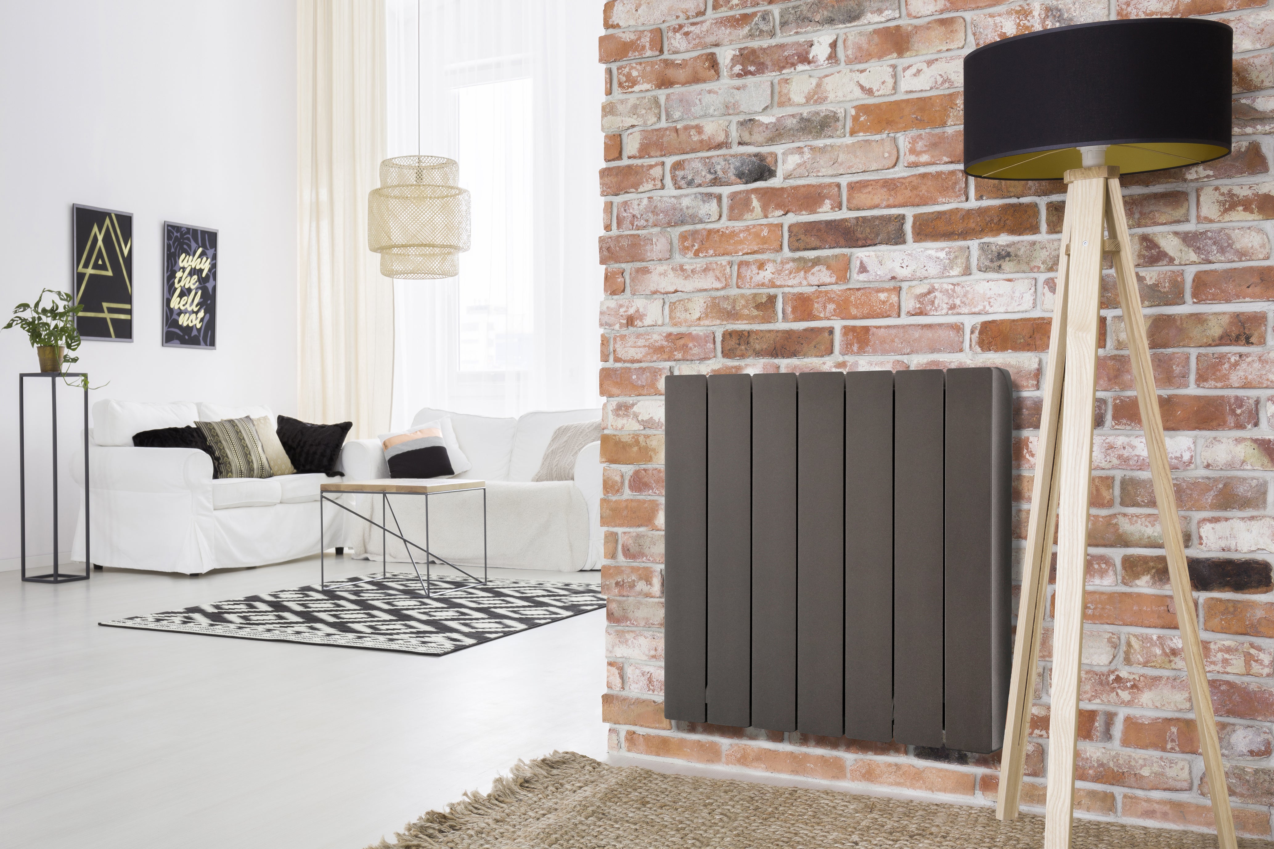 Radiateur électrique inertie fluide EQUATION 1000W l59.7xH57.4 Alidea 2 ...