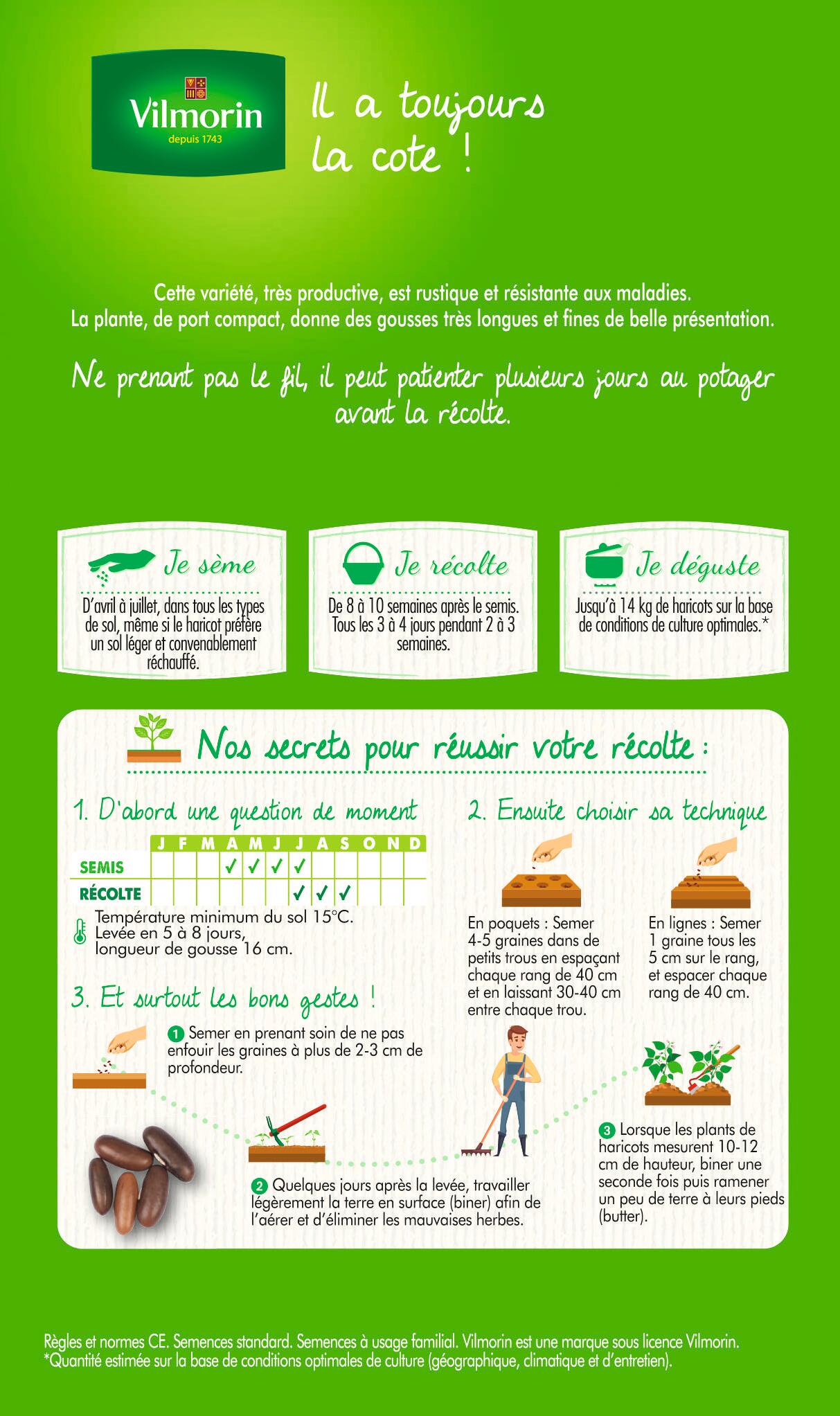 Graines de haricot argus VILMORIN 110 g | Leroy Merlin