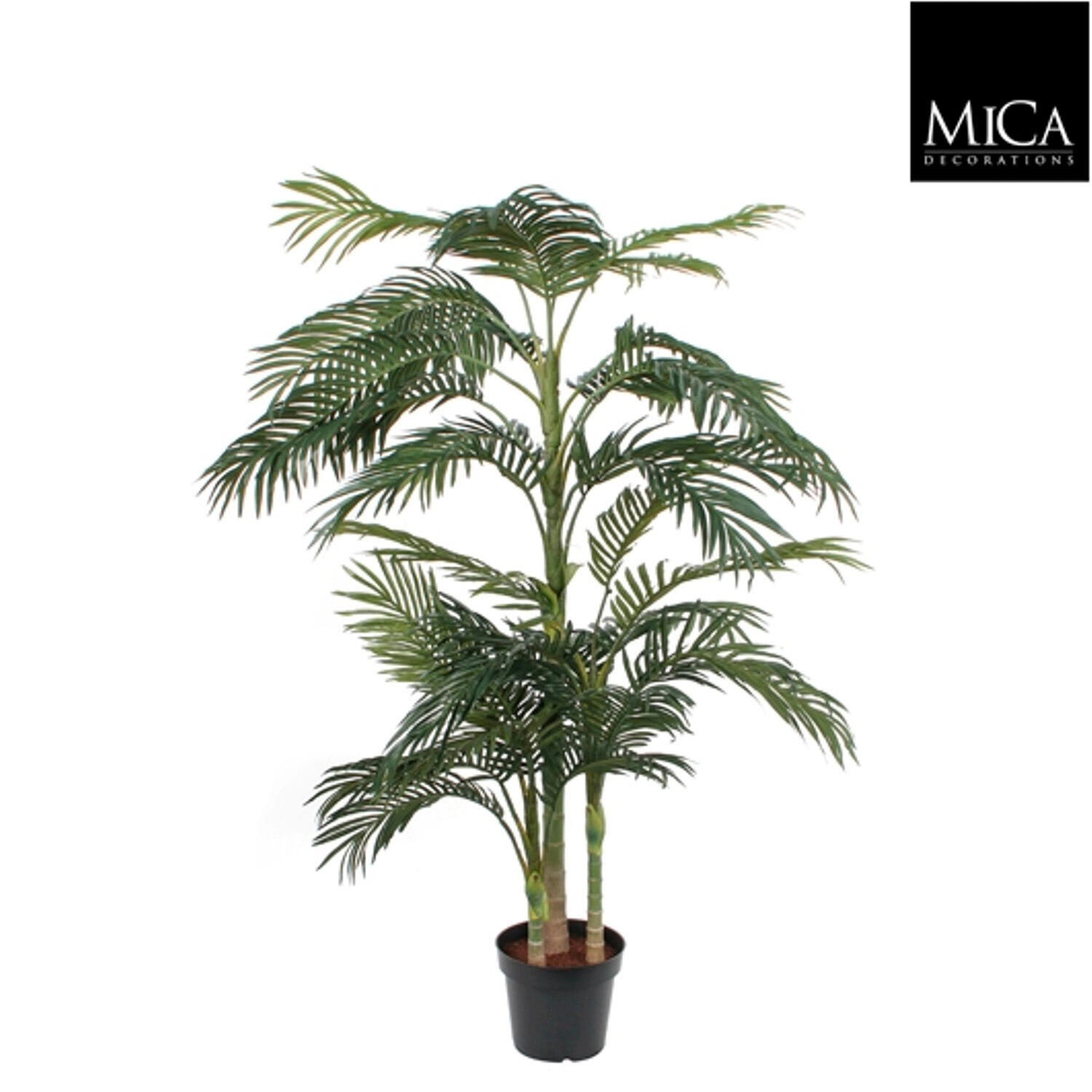 Palmiers Leroy Merlin