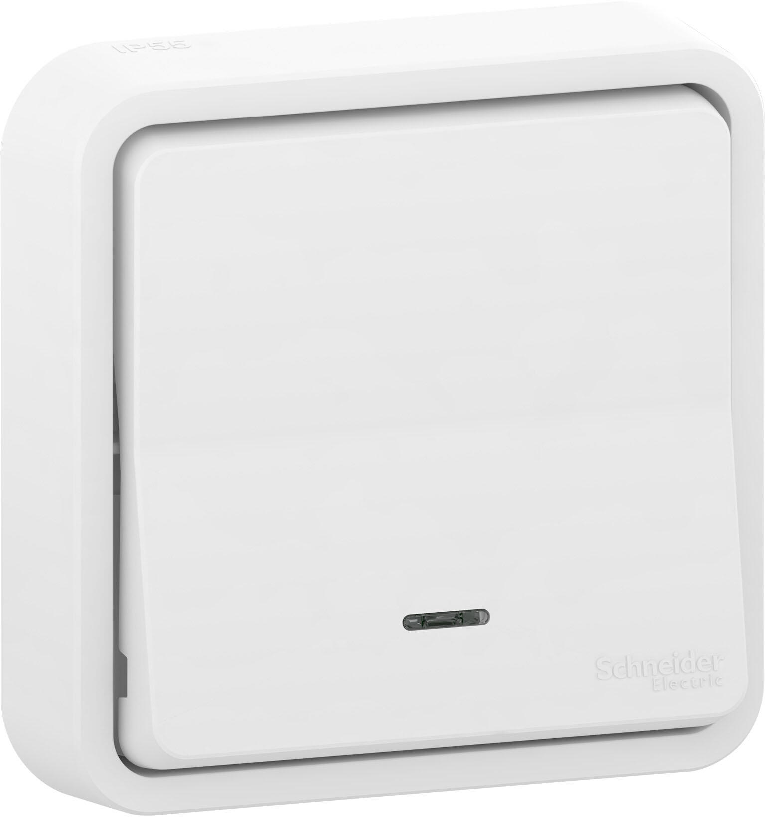 Poussoir lumineux étanche complet Mureva Styl, SCHNEIDER ELECTRIC ...