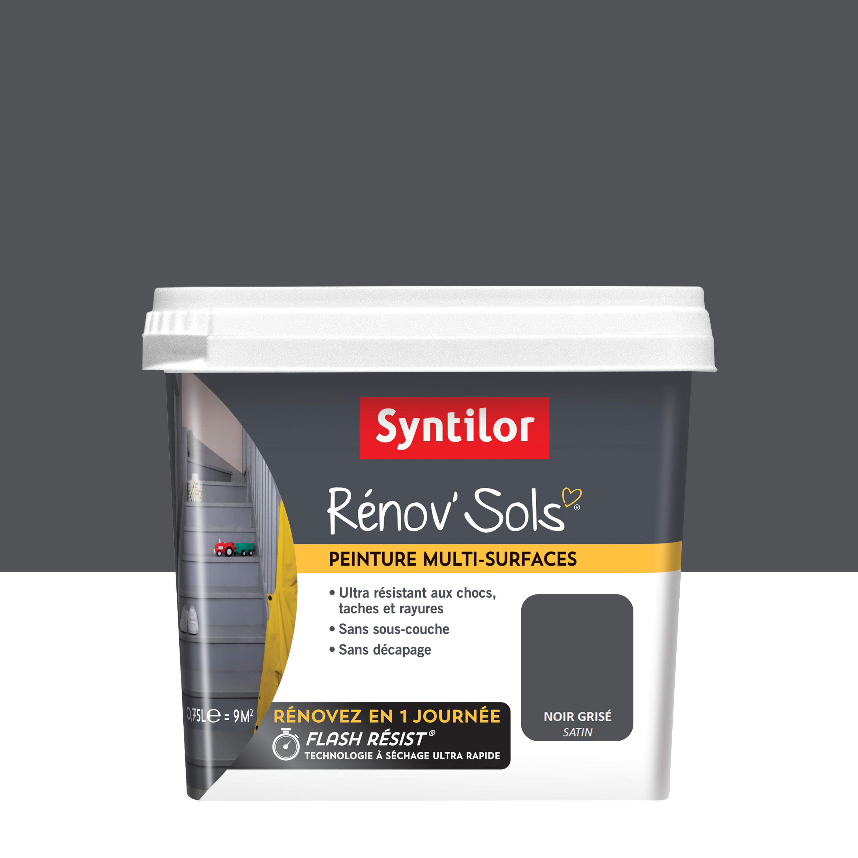 Peinture, carrelage et bois Renov sol SYNTILOR, noir grisé satiné, 0.75 ...