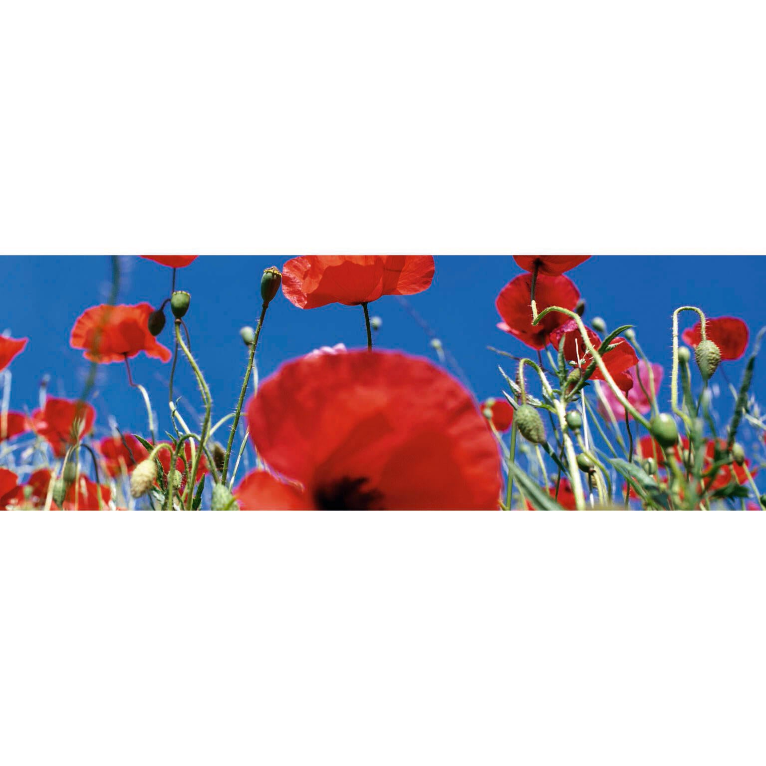 Brise vue imprimé COQUELICOT, H.1 x L.3 m, 100% occultant, SCENOLIA ...