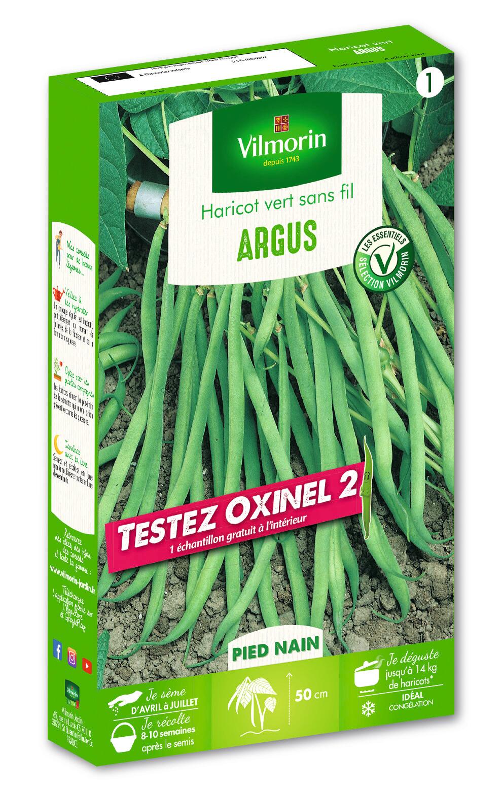 Graines de haricot argus VILMORIN 110 g | Leroy Merlin