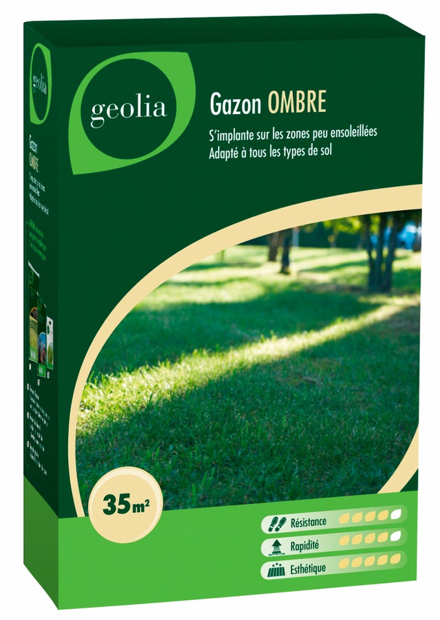 Graines de gazon | Leroy Merlin