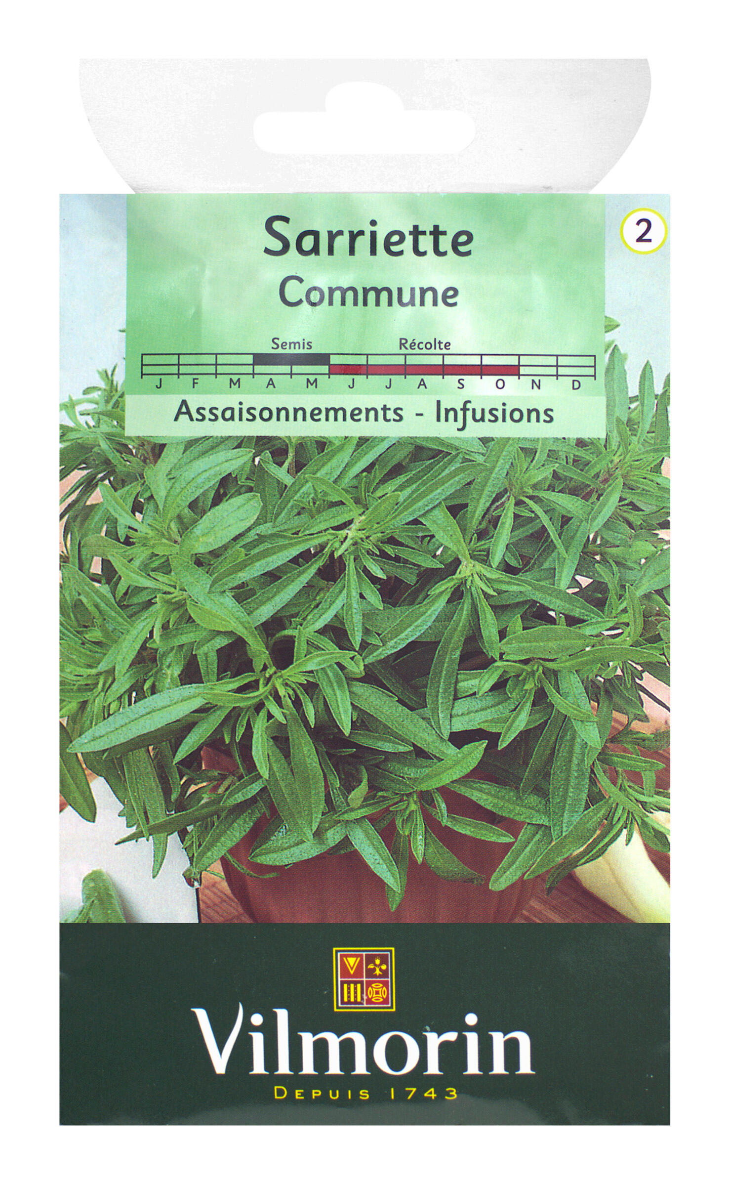 Sariette commune VILMORIN 1.5 g | Leroy Merlin