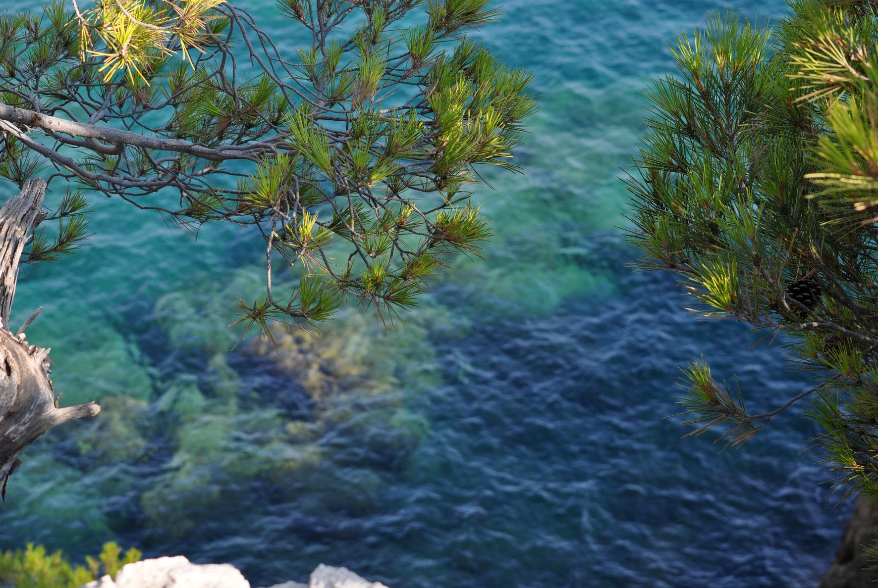 Toile Calanques de Marseille, bleu & vert CEANOTHE l.65 x H.45 cm ...