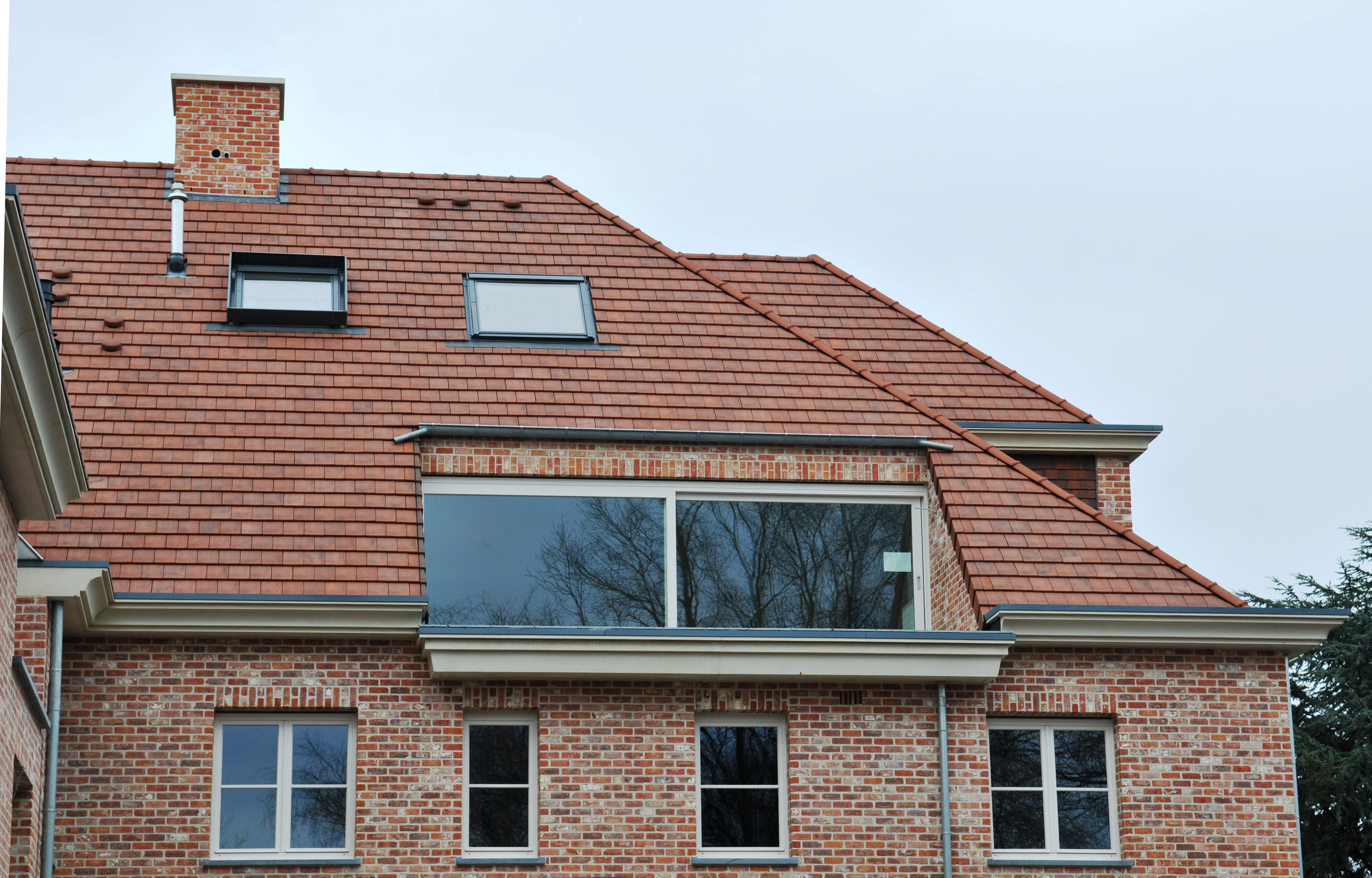 Tuile TERREAL vieilli bourgogne 1gpv | Leroy Merlin