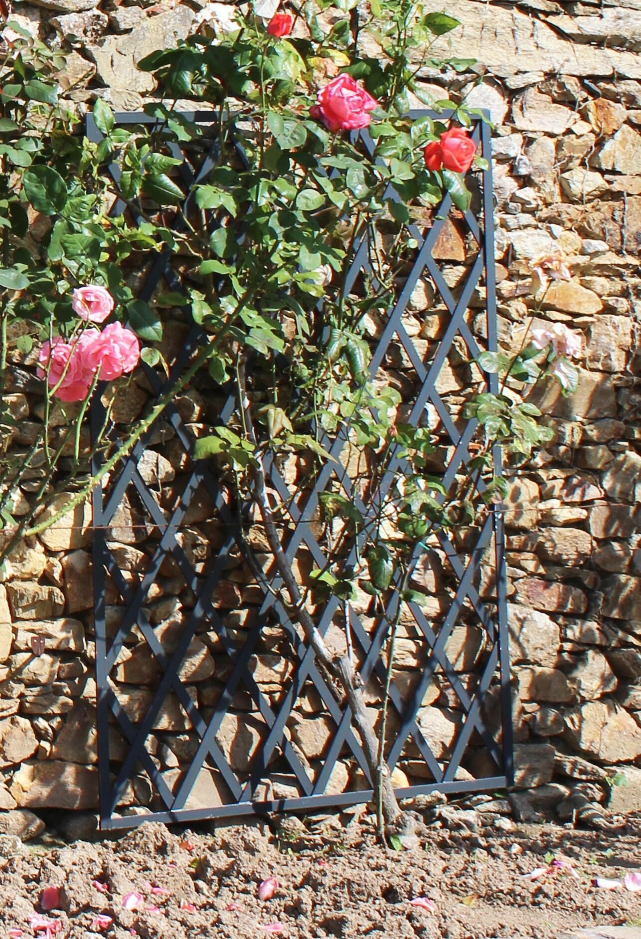 Panneau treillis bois ajouré Maille Losange, l.100 x H.141 cm, gris ...