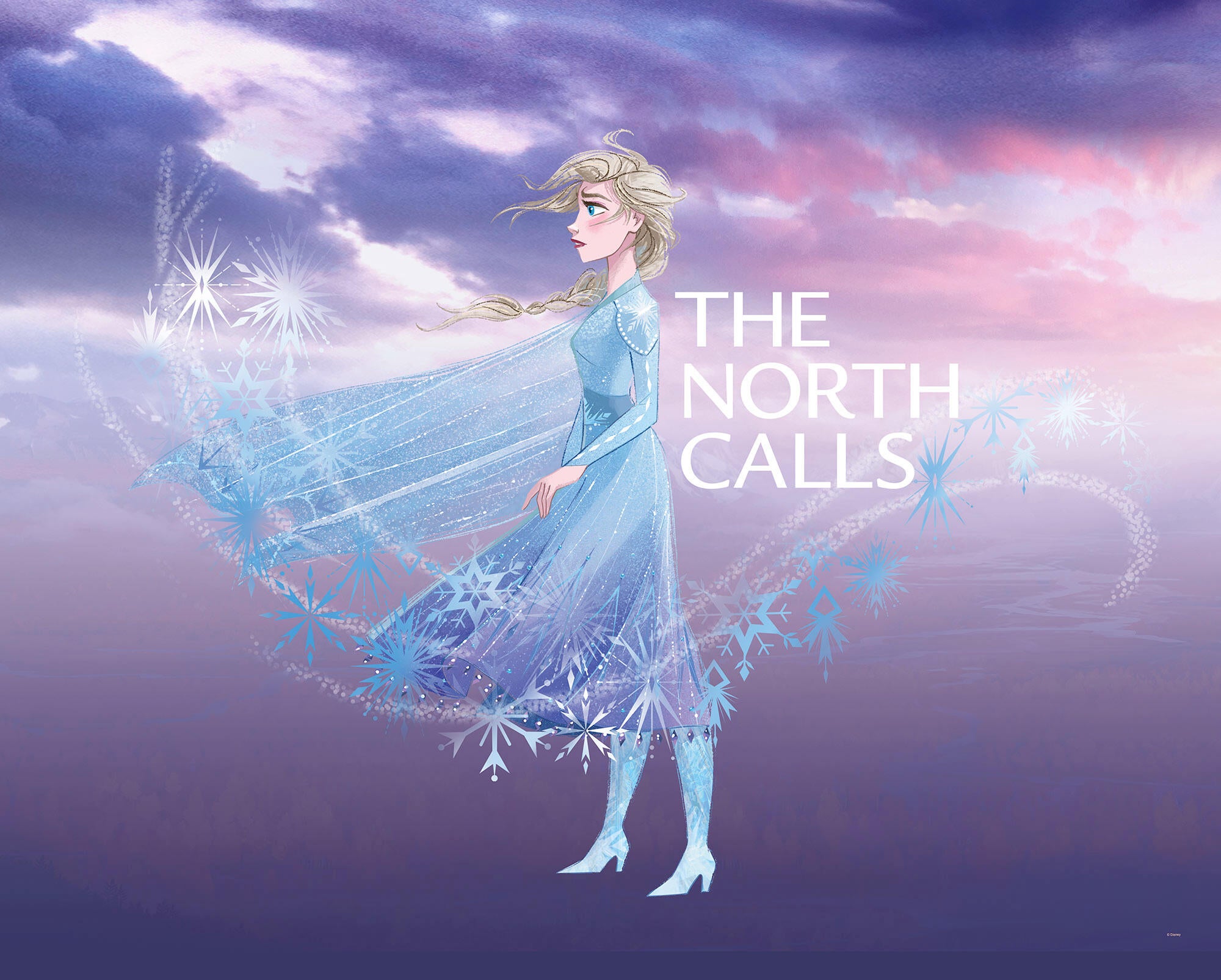 Affiche FROZEN ELSA NORTH CALLS KOMAR l.50 x H.40 cm | Leroy Merlin