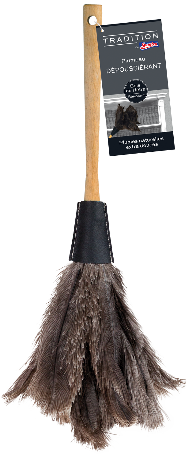 Plume en bois au meilleur prix | Leroy Merlin