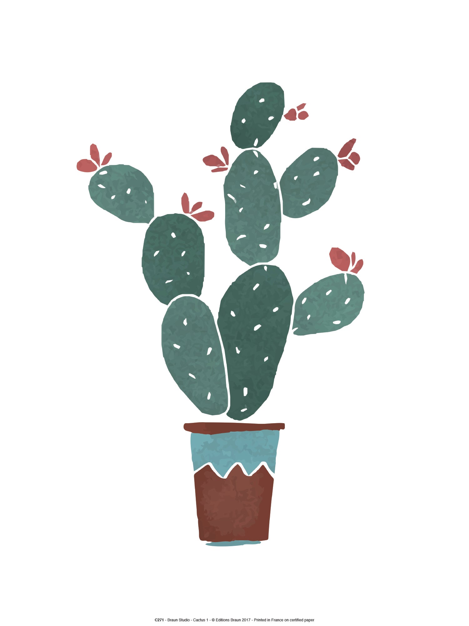 Affiche Cactus en fleurs, vert EDITIONS BRAUN l.30 x H.40 cm | Leroy Merlin