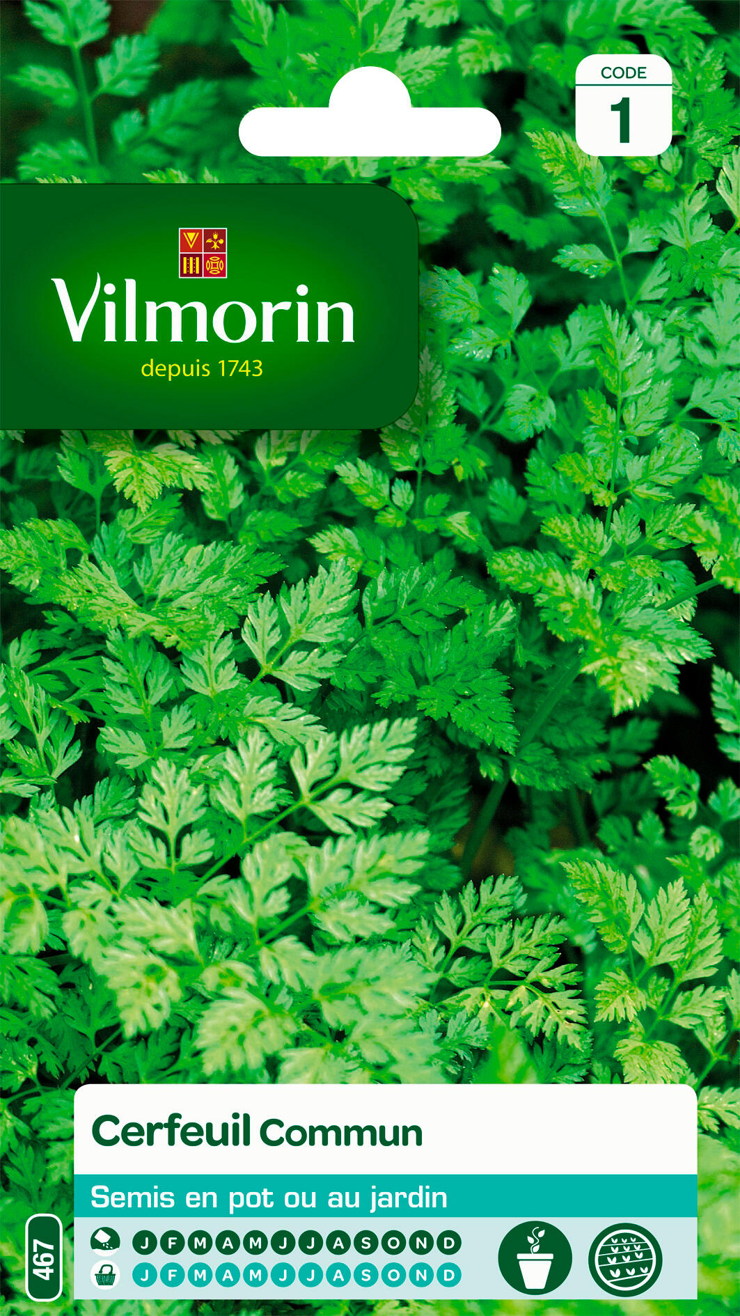 Graines de cerfeuil VILMORIN 2.5 g | Leroy Merlin