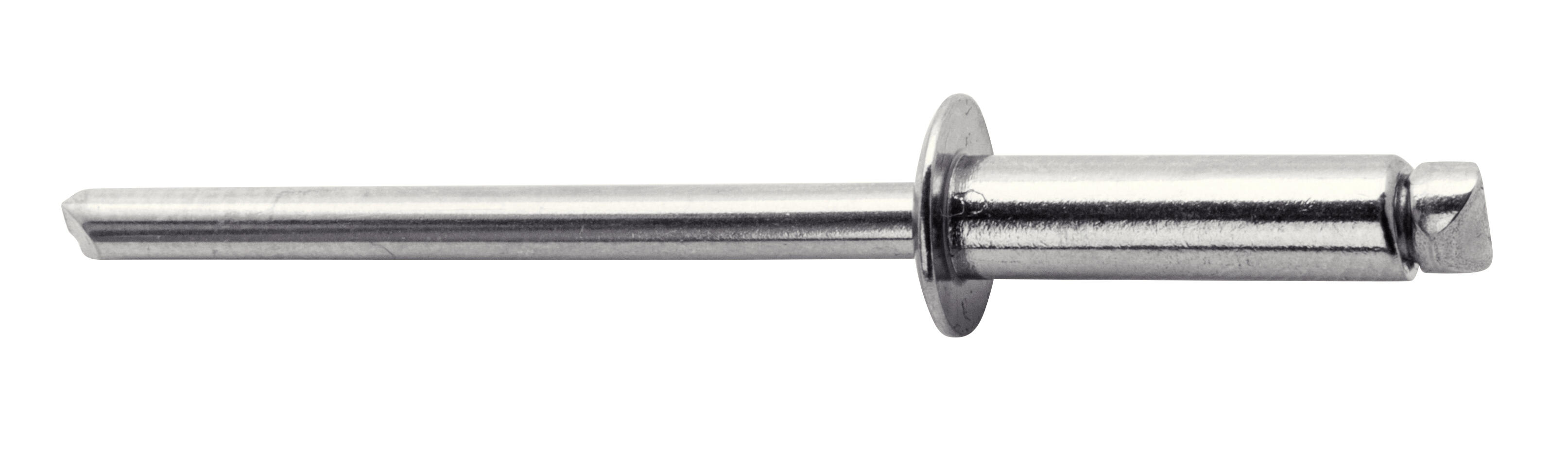 Rivets acier inoxydable Diam.4.8 x H.10 mm RAPID | Leroy Merlin