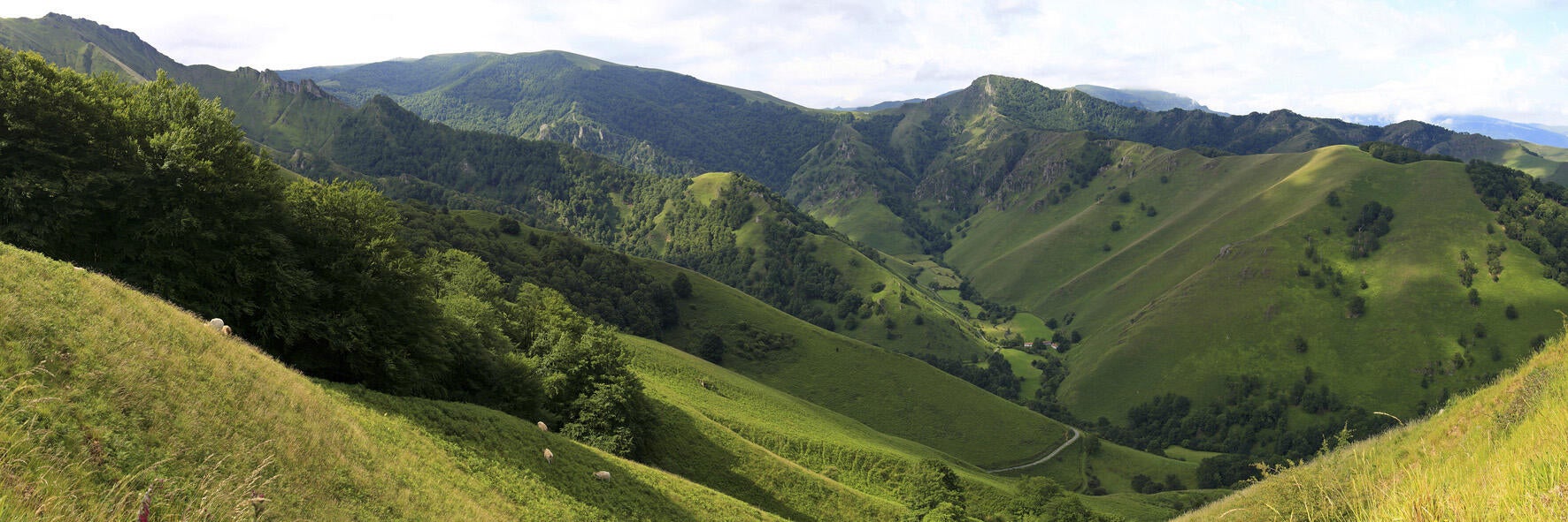 Esterenguibel Pays Basque, vert CEANOTHE l.97 x H.30 cm | Leroy Merlin