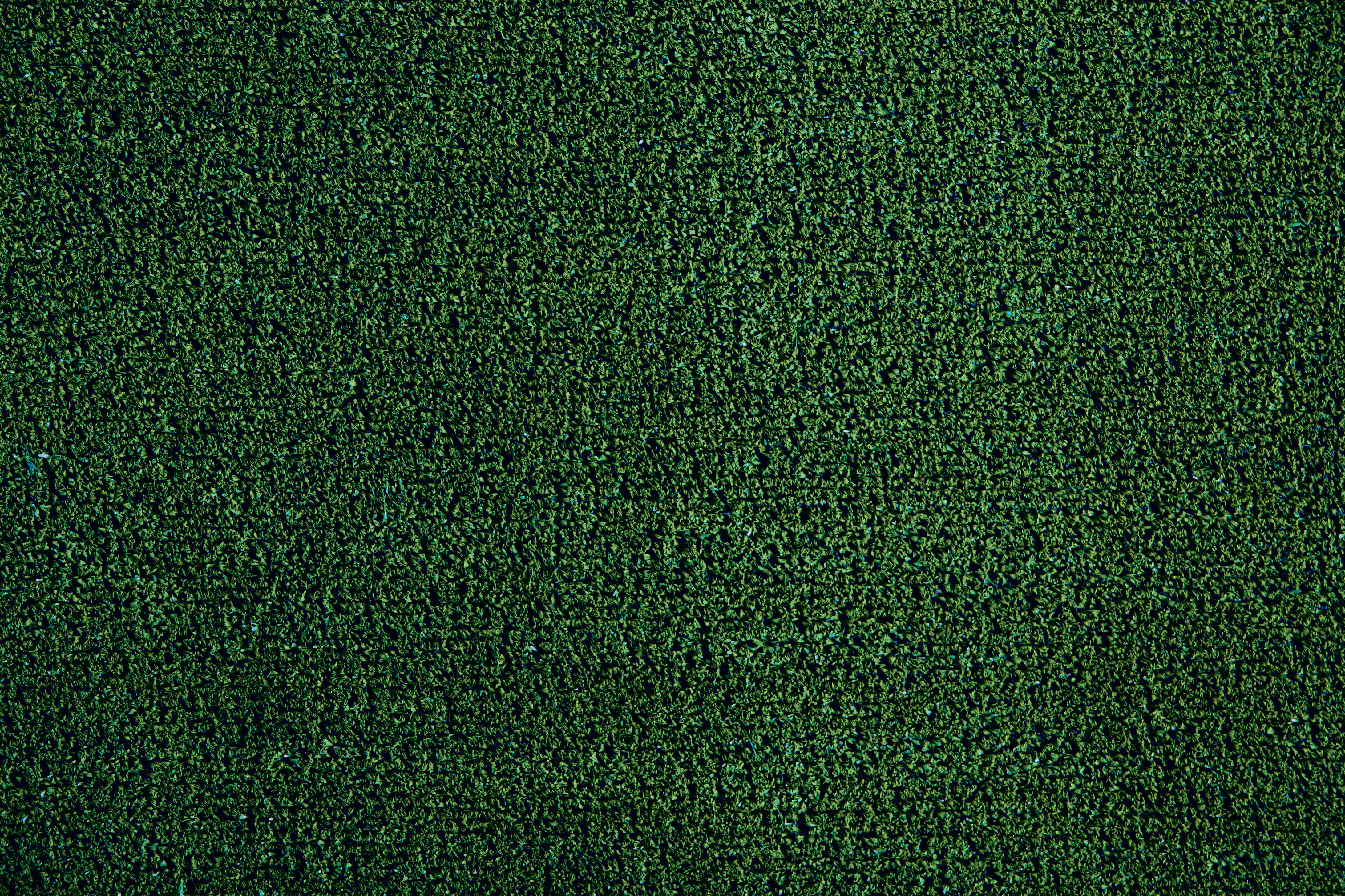 Echantillon moquette gazon Spring vert | Leroy Merlin