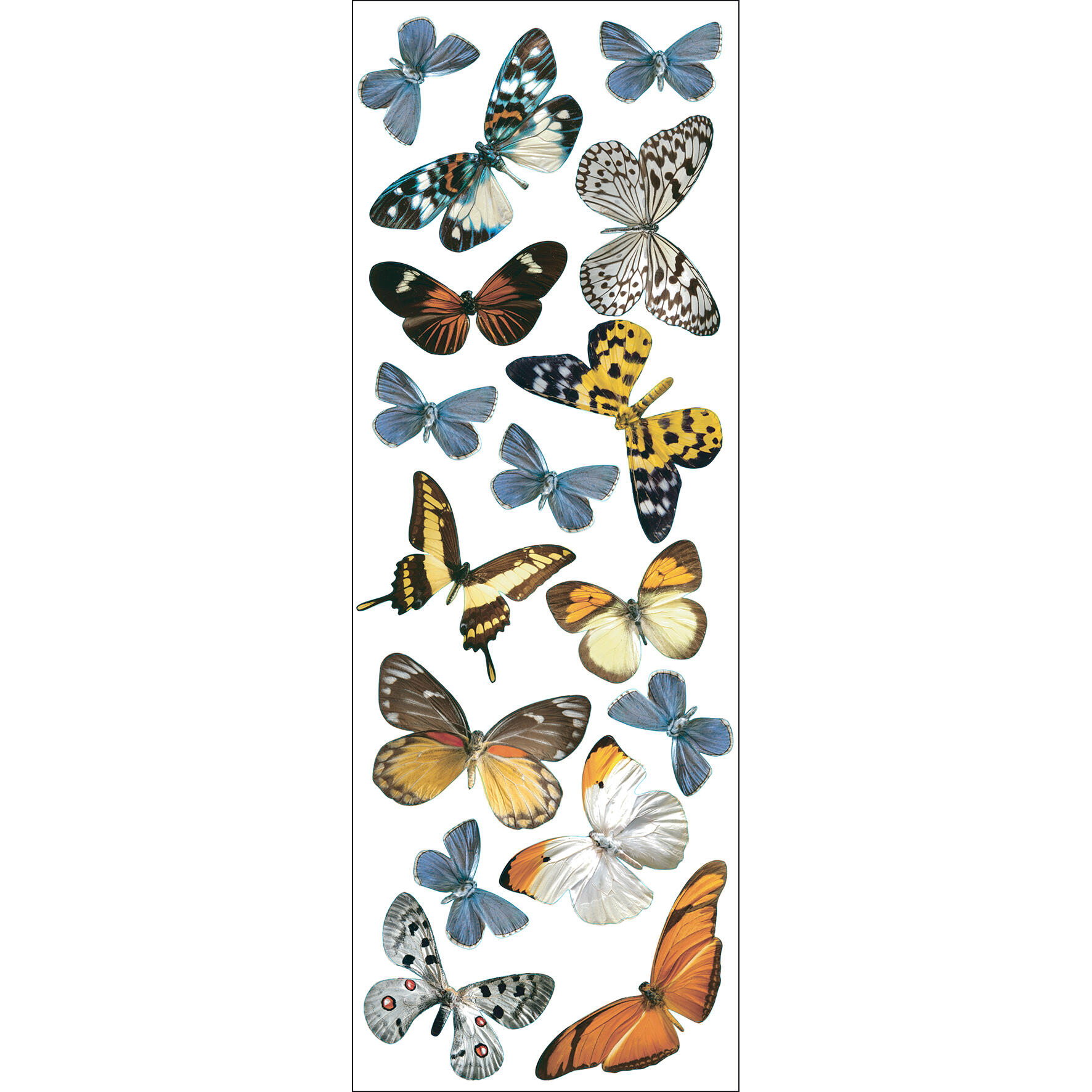 Sticker décoratif Papillons, multicolore, 24 cm x 68 cm | Leroy Merlin