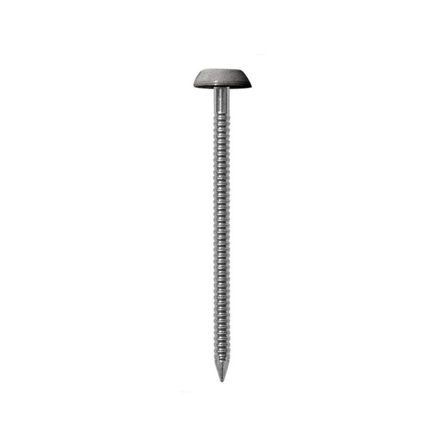 Pointe inox 40 mm au meilleur prix | Leroy Merlin